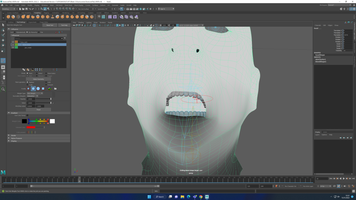 Maya – Tim Schweizer's Development Blog