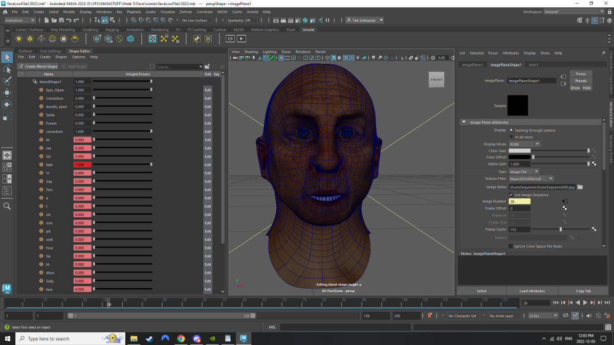Week 9: Maya Development – Tim Schweizer's Development Blog